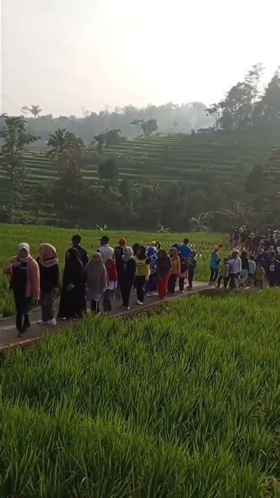 Viral Pesawahan Di Cisema Banjaran Youtube