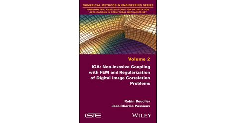 Iga Non Invasive Coupling With Fem And Regularization Of Digital Image Correlation Problems