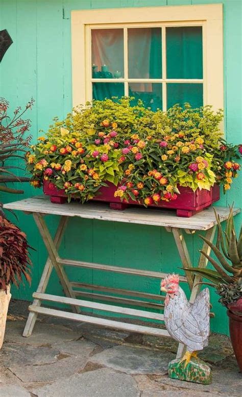 8 Tips To Make Your Window Box Flourish And 11 Ideas To Inspire You