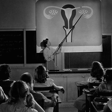 Sex Education The Cut