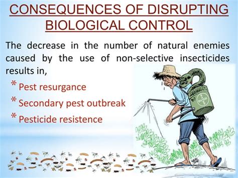 Effect Of Sub Lethal Doses Of Insecticides On Natural Enemies Of Crop Pests Pptx