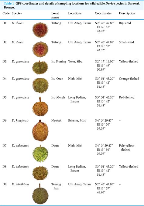 Table 1 From Characterization Of Indigenous Durio Species From Sarawak