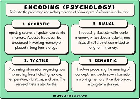 11 encoding examples psychology 2025