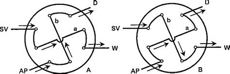 Figure 1 From Sequential Injection Flow System With Improved Sample Throughput Determination Of