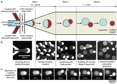 Artificial Cell Droplet Microfluidic Pack Microfluidics Innovation Center