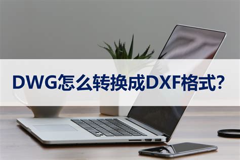 DWG怎么转换成DXF格式方法其实很简单 哔哩哔哩