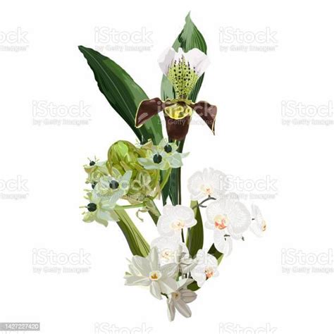 열대 초대장 꽃 초대 감사합니다 Rsvp 현대 카드 디자인 난초 베들레헴의 별 또는 잔디 백합 꽃과 유칼립투스가있는 열대 꽃다발 세트 0명에 대한 스톡 벡터 아트 및 기타