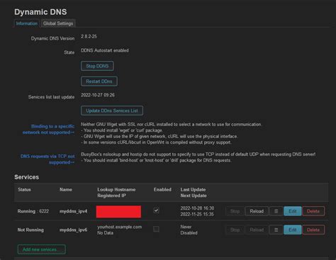 ddns forces update with the same ip installing and using openwrt