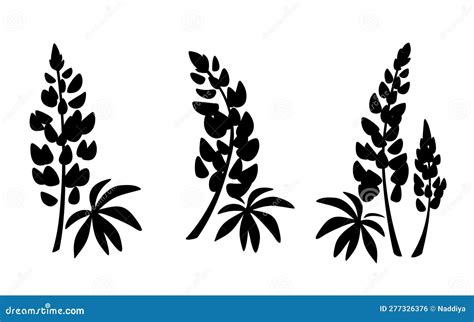Lupine Flowers Set Of Vector Black Silhouettes Of Lupins Isolated On A