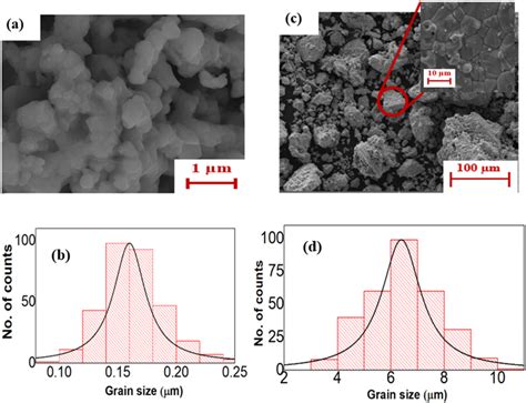 A Scanning Electron Microscopy Sem Micrograph Of A Calcined Powder Download Scientific