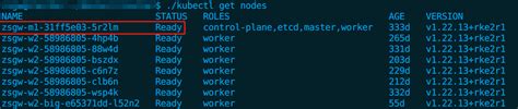 Bug There Is No Cattle Node Agent In K8s · Issue 42482 · Rancher