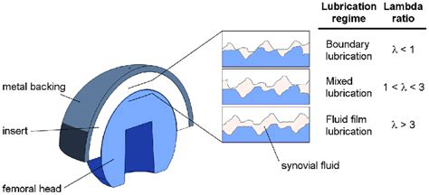 Correlation Lambda Ratio To Lubrication Regime 18 Download