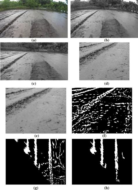 sample results of guidance row segmentation a rgb image b result of download scientific