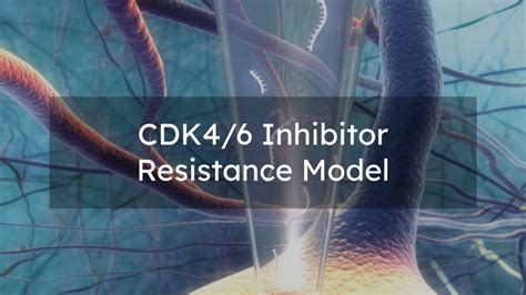 Cdk4 6 Inhibitor Resistance Model