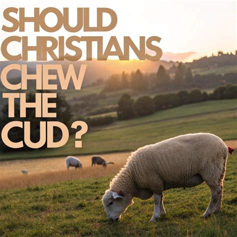 Entry 16 By Montasirrahmana For Video For Chewing The Cud Video