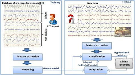 Towards A Personalized Real Time Diagnosis In Neonatal Seizure