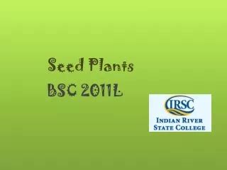 PPT Seed Plants PowerPoint Presentation Free Download ID 1948916