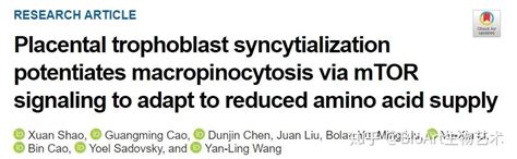Pnas 王雁玲团队揭示胎盘滋养层细胞应对妊娠期营养缺乏的机制 知乎