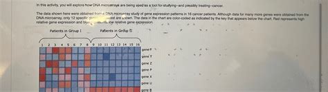 Solved In This Activity You Will Explore How DNA Chegg Com
