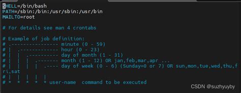 systemd定时任务 systemd 定时任务 csdn博客