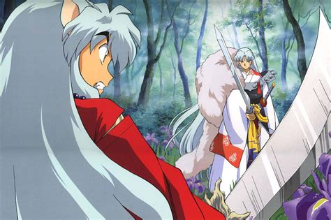 Inuyasha And Sesshomaru Fighting