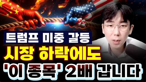 주식 트럼프 미중 갈등 더욱 심해질 것 시장은 하락해도 이 종목은 2배 상승합니다 반도체 트럼프 희토류관련주 Youtube