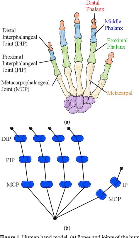 Figure 1 From A Proposal Of Bioinspired Soft Active Hand Prosthesis Semantic Scholar