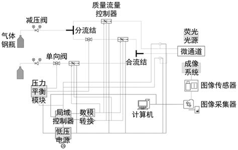Microfluidic Optical Observation System And Method For Driving Macromolecules To Translate By