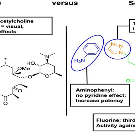 Chemical Differentiation Of Solithromycin From Telithromycin Download Scientific Diagram