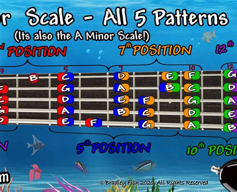 All 5 Of The 5 String Bass A Minor Pentatonic Scale Patterns Its Also The C Major Pentatonic