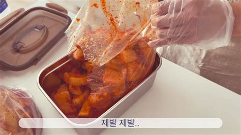 남편 브이로그 Vlog 식기세척기 정리 김치 보관 갓 지은 밥 냉장고 얼리기 김치 고기 계란 덮밥 만들기 Youtube