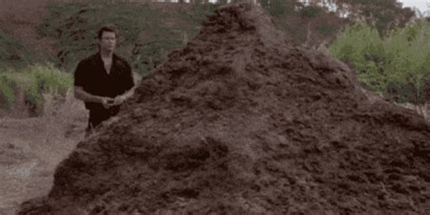 When I Open Legacy Code The Coding Love Programmer Humor S