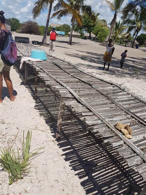 20170127100506 The Dugong And Seagrass Conservation Project