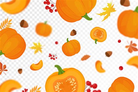 추수 감사절 또는 추수 감사절에 대한 흐림 효과가 흐림 효과가 있는 주황색 가을 호박의 배경 투명한 배경에 다른 크기의 호박 벡터 평면 디자인 10월에 대한 스톡 벡터 아트