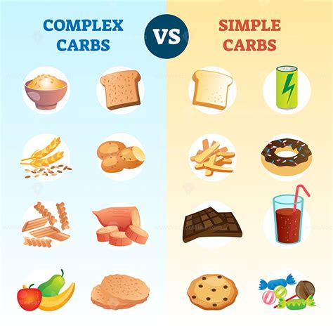Complex Carbs And Simple Carbohydrates Comparison And Explanation Diagram VectorMine
