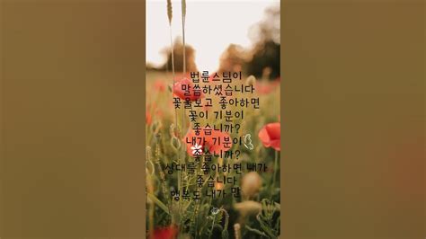 법륜스님 말씀 명언 법륜스님 좋은글귀 Youtube