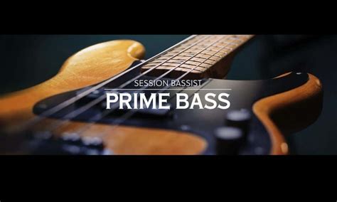 Native Instruments Session Bassist Prime Bass The Synth And Software