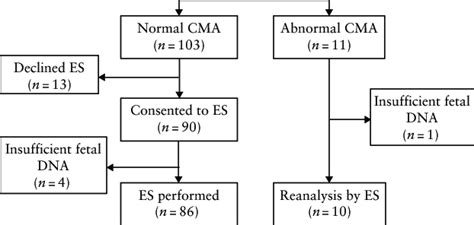 Flowchart Summarizing Genetic Testing Workflow In Cases That Underwent Download Scientific