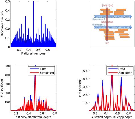 Thomaes Function A Self Similar Function Over The Rational Numbers In Download Scientific