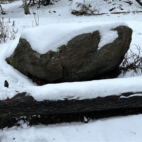 Forest Rock Detection Object Detection Model By First Forest Dataset