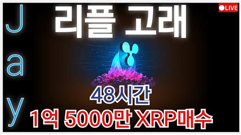 리플전망 대응전략 고래들 48시간 1억 5000만 Xrp매수 Youtube