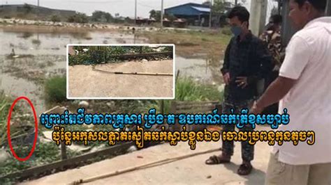 មកពីជីវភាពគ្រួសារ ប្រឹង“ត”ឧបករណ៍ឆក់ត្រីខុសច្បាប់ ប៉ុន្តែអកុសលភ្លាត់ស្នៀតឆក់ស្លាប់ខ្លួនឯង