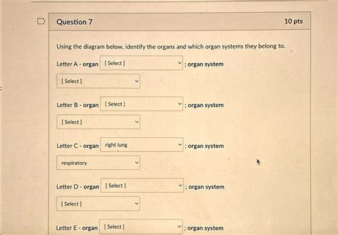 Question 7 10 Pts Using The Diagram Below Identify The Organs And Which