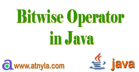 Java Bitwise Operators Examples And Usage