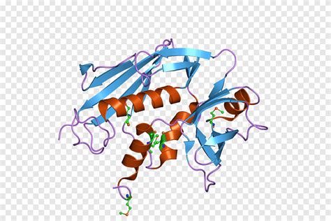 desktop organism computer text computer png pngegg