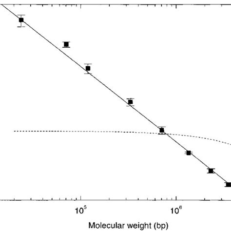 The Experimental Frequency Of Dna Fragments Distribution Per Cell Dna Download Scientific