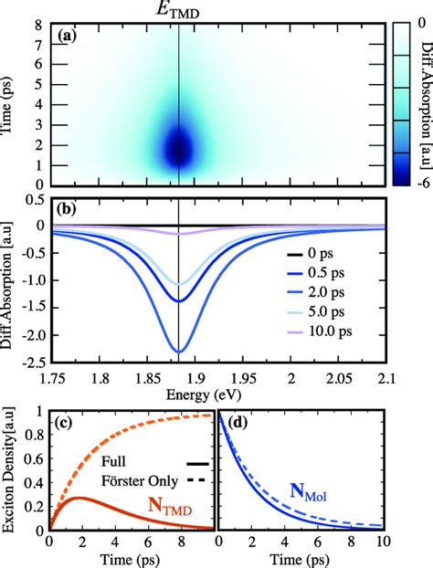 Impact Of Förster On Time Resolved Differential Absorption A Download Scientific Diagram