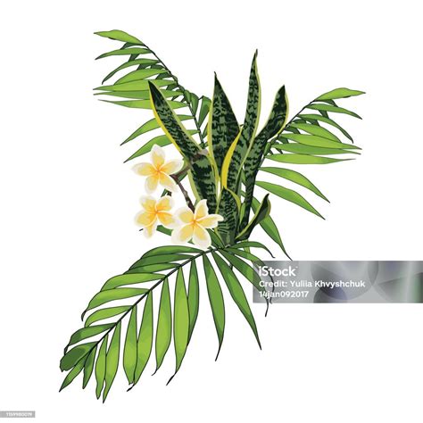 꽃 부케 디자인 이국적인 열대 잎과 플루메리아 꽃 초대 카드에 대한 웨딩 요소입니다 디자이너 요소 집합입니다 흰색 배경입니다 0명에 대한 스톡 벡터 아트 및 기타 이미지