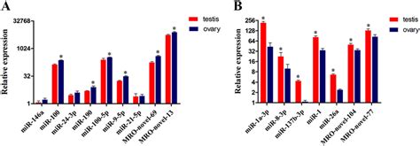 Expression Patterns Of Sex Biased Mirnas Confirmed By Real Time Pcr