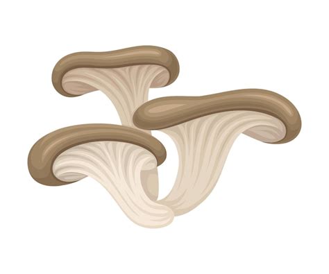 Hongo Realista Aislado En Fondo Blanco Elemento Alimenticio Vectorial Vector Premium